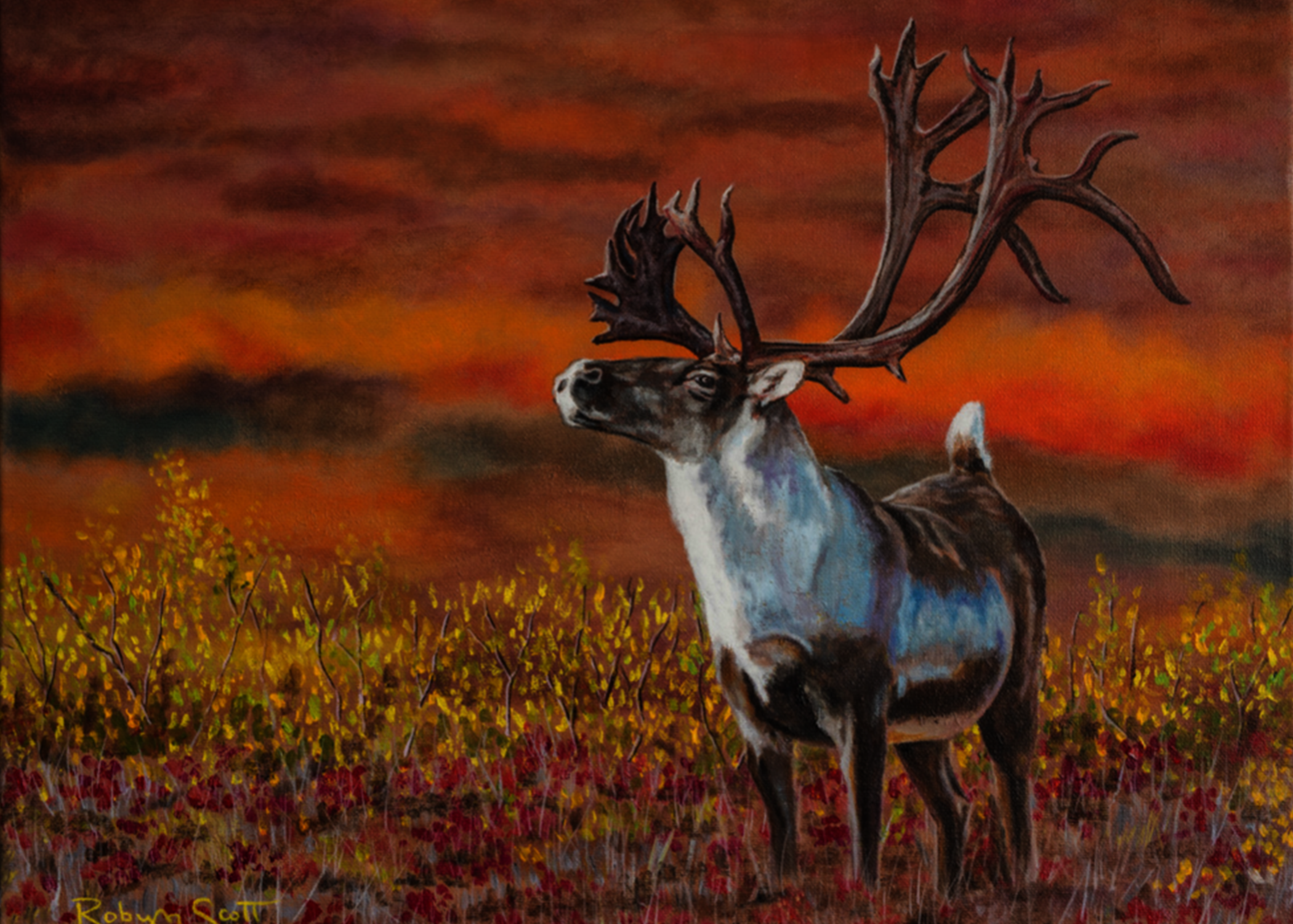 MAY 2025: Robyn Scott | Northern Arts & Cultural Centre